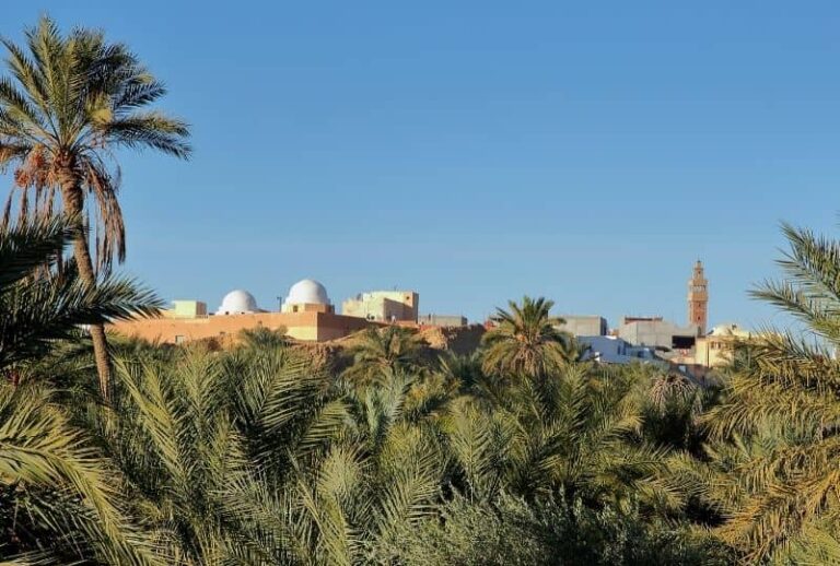 Best things to do in Nefta - The Boutique Vibe