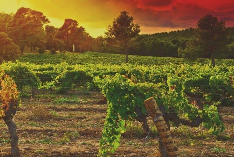 Autumn in France - The Boutique Vibe