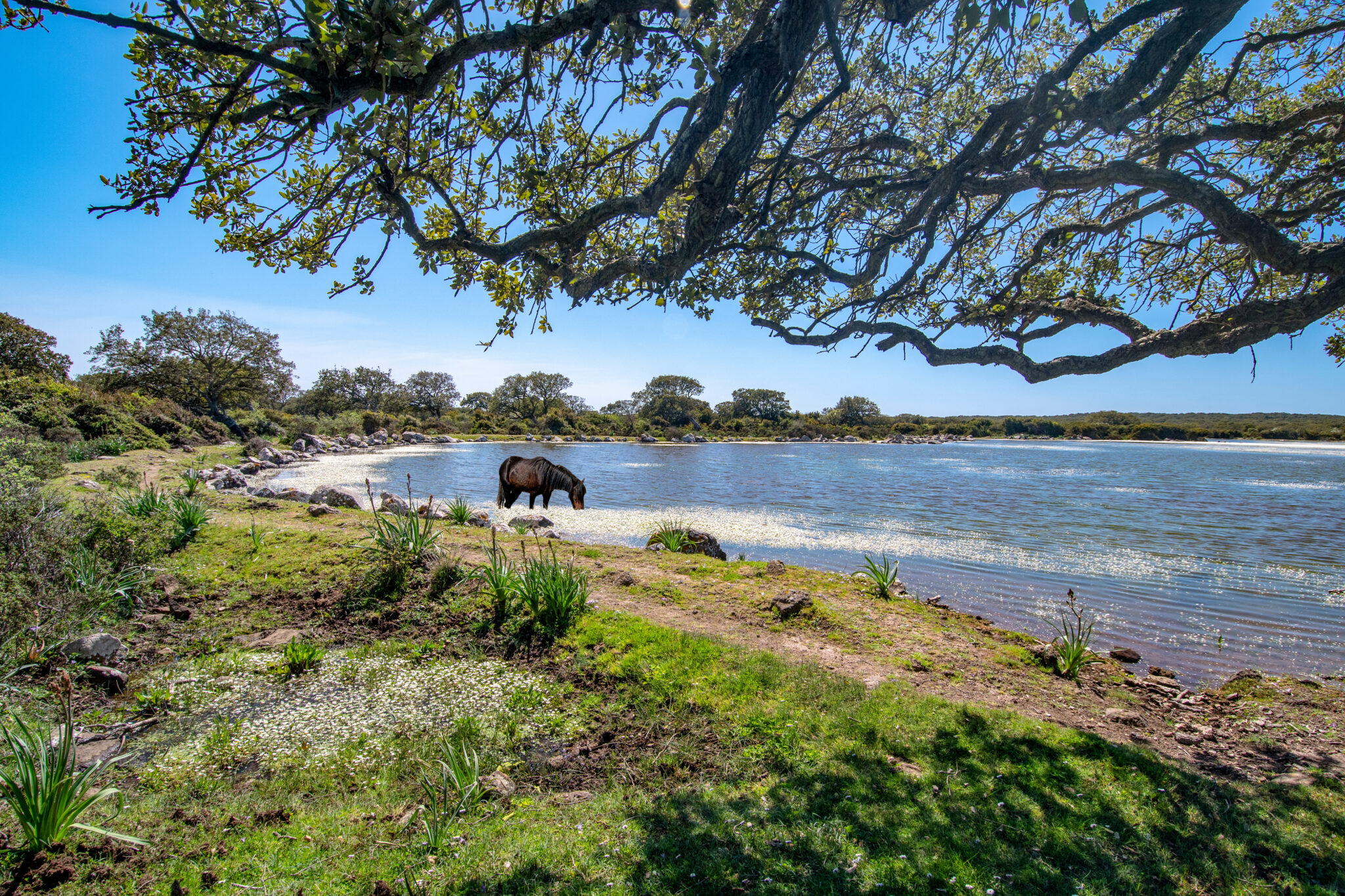 The Ultimate Traveler’s Guide to Sardinia: Beaches, Food, and Adventure ...
